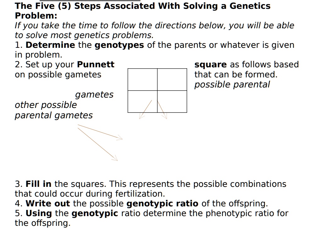 SOLVED: The Five (5) Steps Associated With Solving a Genetics Problem: If you take the time to ...