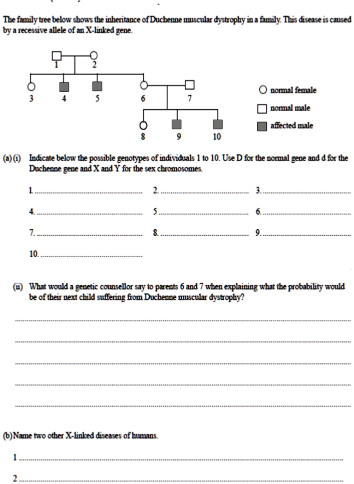 The family tree below shows the inheritance of Duchenne muscular ...