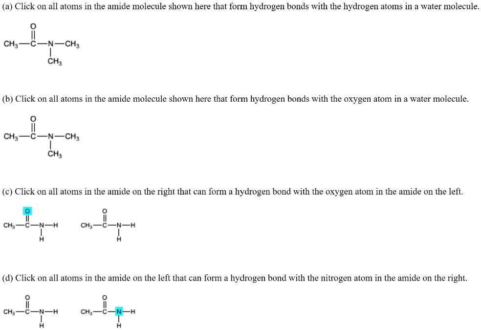 click on all atoms in the amide molecule shown here that form hydrogen ...