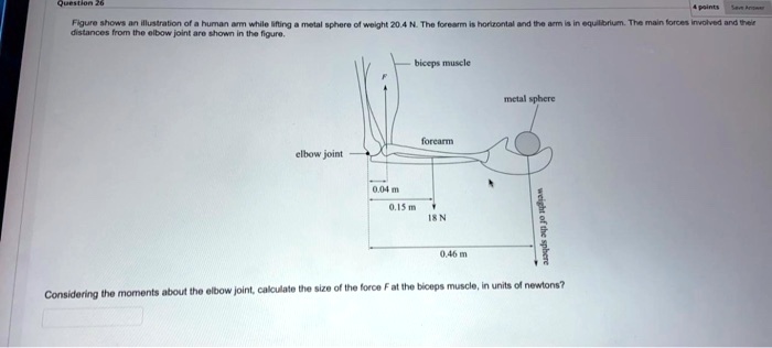 SOLVED: Figure shows an illustration of a human am and their forearm ...