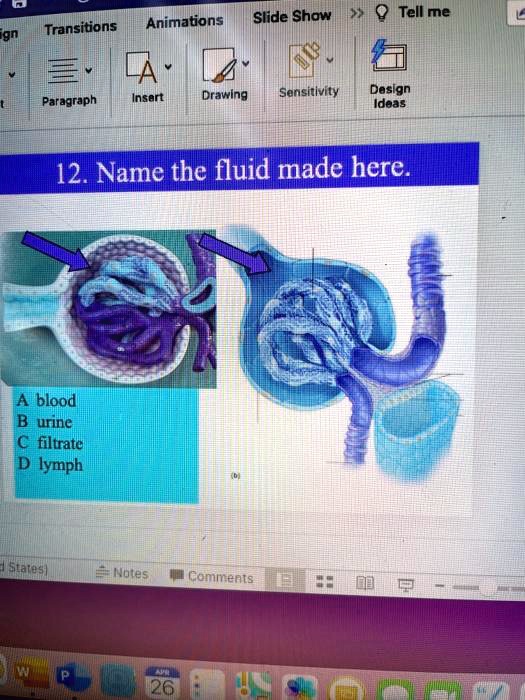 animations slide show tell me transitions paragraph insart drawina sensitlvity design ideas 12 ...