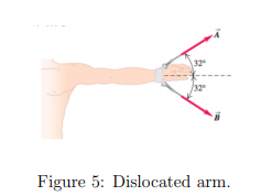 SOLVED: Figure 5: Dislocated arm.