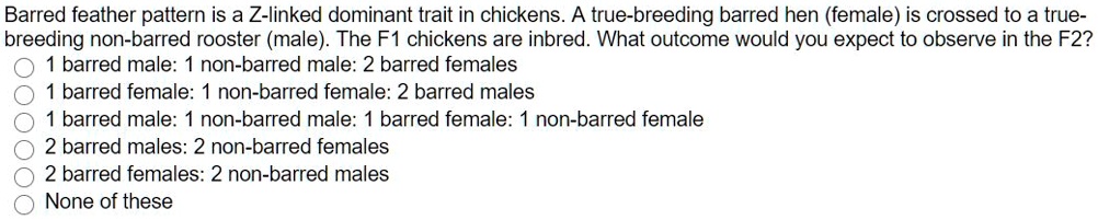 barred feather pattern is a z linked dominant trait in chickens a true breeding barred hen ...