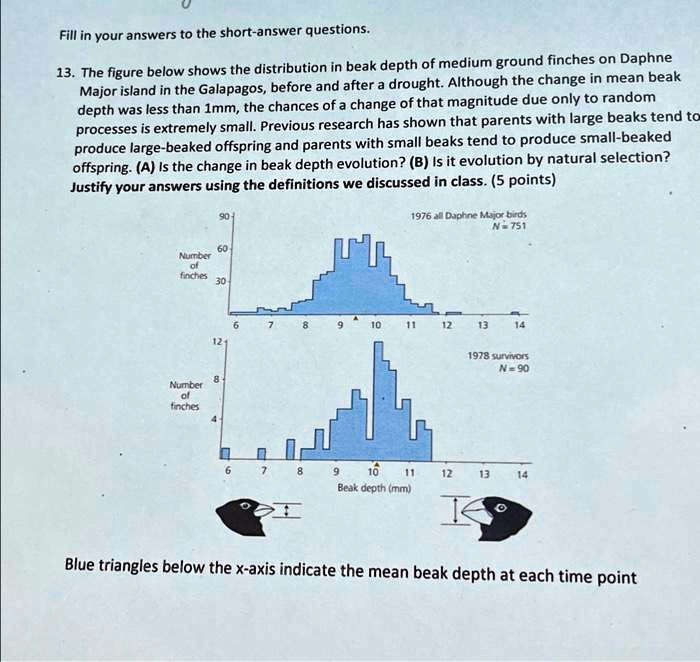 SOLVED: Fill in your answers to the short-answer questions. 13. The ...