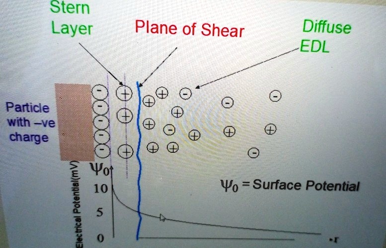 SOLVED: Could you explain the zeta potential of the colloidal mV in the diagram? Stern Layer ...