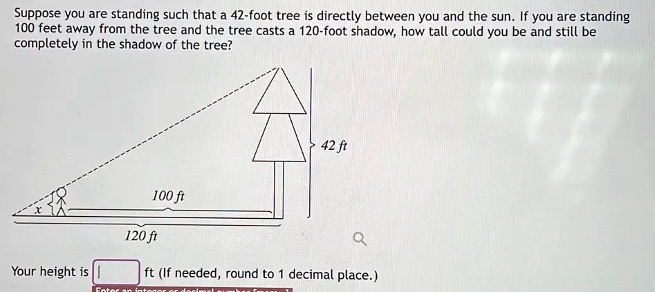 SOLVED: Suppose you are standing such that a 42-foot tree is directly ...