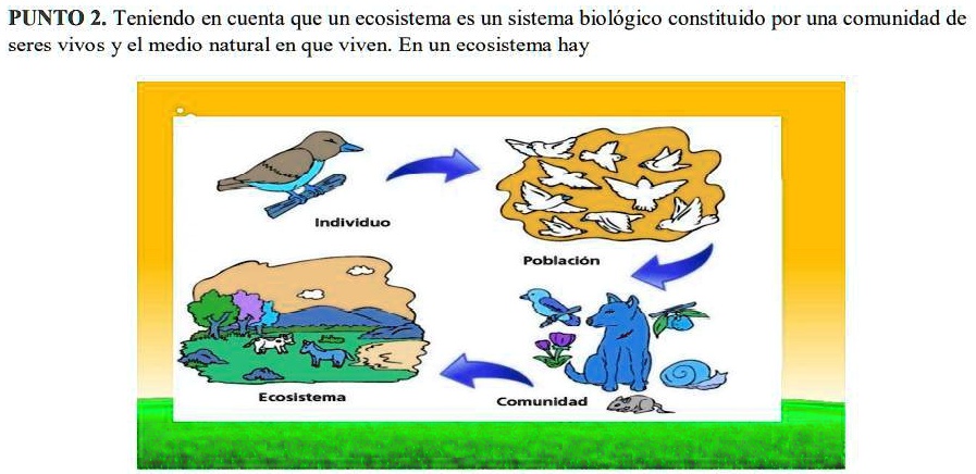 Como se clasifican y se agrupan los seres vivos en un...