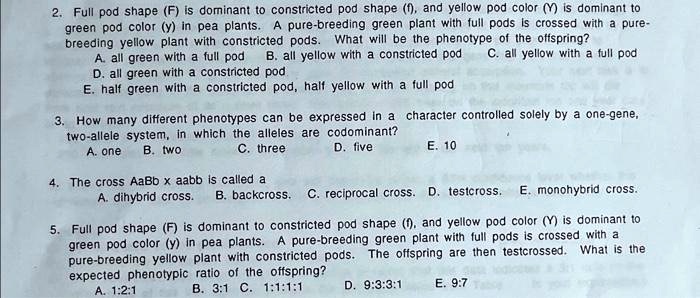 2 full pod shape f is dominant to constricted pod shape f and yellow ...