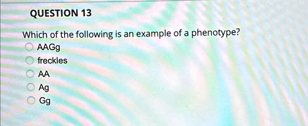 QUESTION 13 Which of the following is an example of a phenotype? AAGg ...