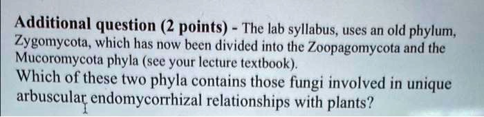 SOLVED: Additional question (2 points - The lab syllabus uses an old ...