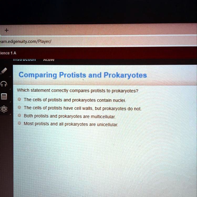 SOLVED: 'Which statement correctly compares protists to prokaryotes ... SOLVED: 'Which statement correctly compares protists to prokaryotes ...