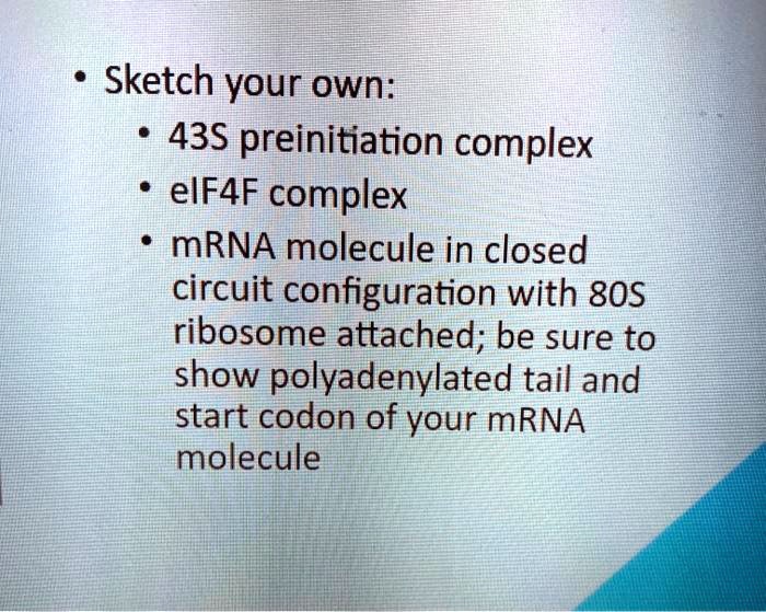 SOLVED: Sketch your own: 43S pre-initiation complex eIF4F complex mRNA ...