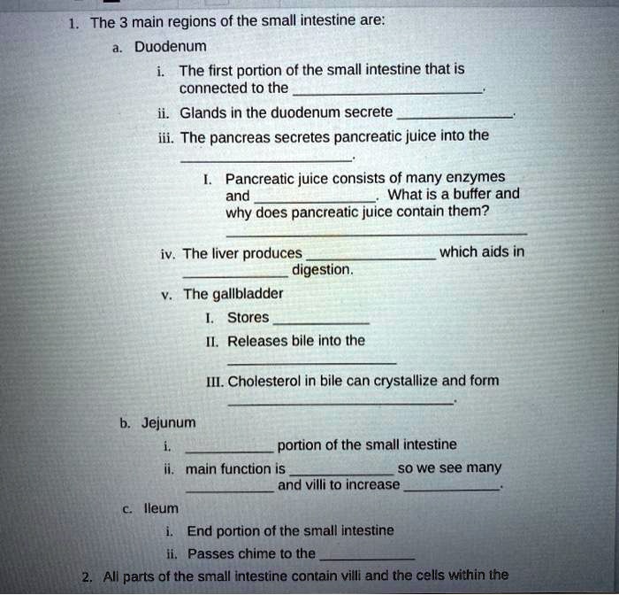 SOLVED: The three main regions of the small intestine are: Duodenum ...