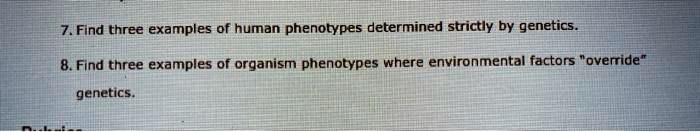 SOLVED: 7. Find three examples of human phenotypes determined strictly ...