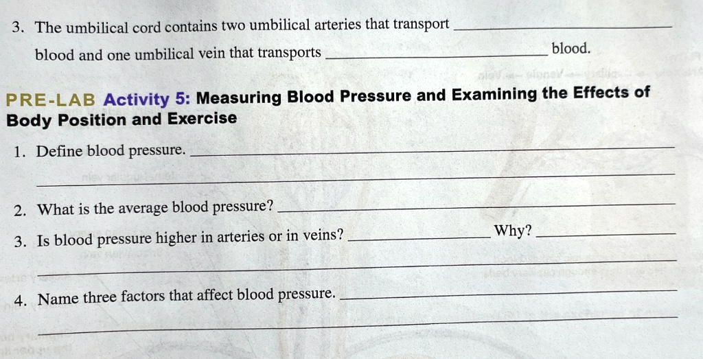 3. The umbilical cord contains two umbilical arteries that transport ...
