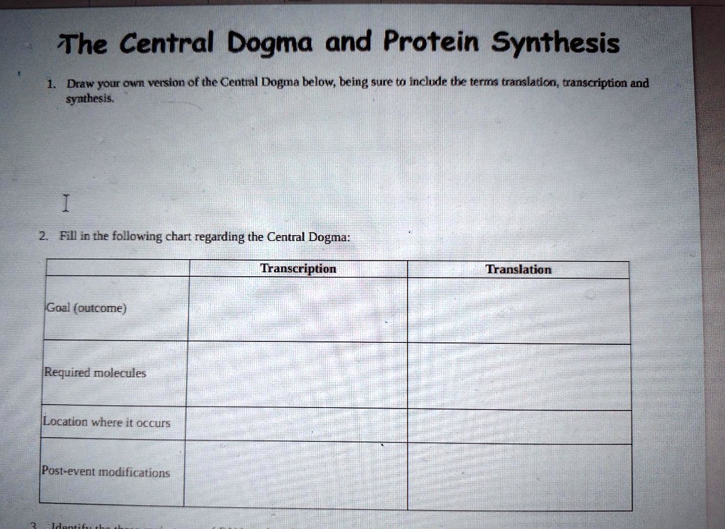 SOLVED: The Central Dogma and Protein Synthesis Draw your own version ...