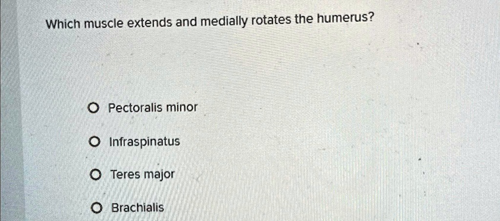 Which muscle extends and medially rotates the humerus? Pectoralis minor ...