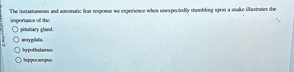 the instantaneous and automatic fear response we experience when ...
