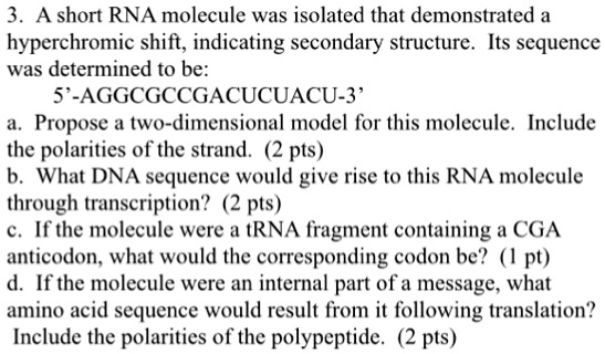 SOLVED: A short RNA molecule was isolated that demonstrated a hyperchromic shift, indicating ...