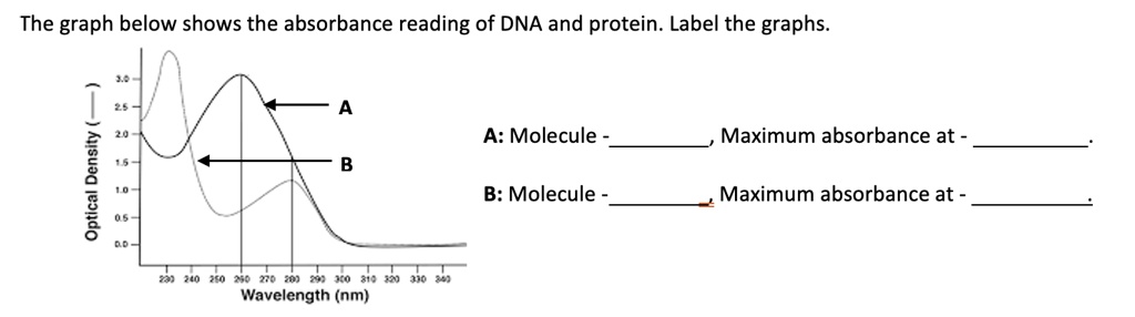 SOLVED: Q1: Why is it important to use a blank control prior to loading ...