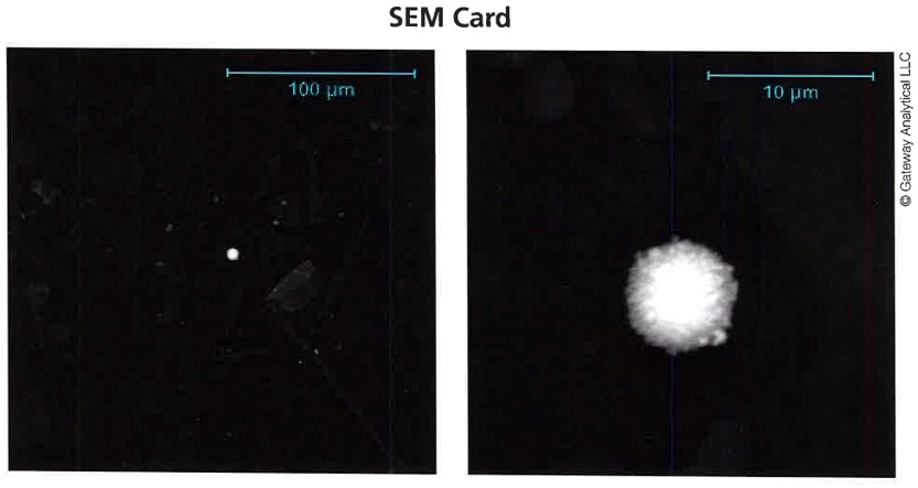 SOLVED: SEM Data Table: Use a metric ruler to measure the scale shown ...