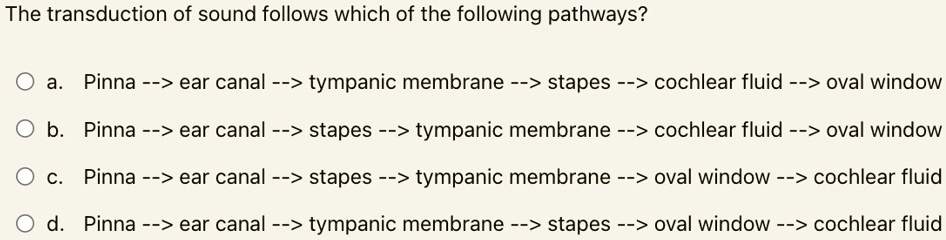 the transduction of sound follows which of the following pathways a ...