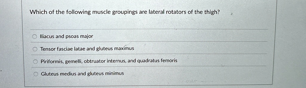 Which of the following muscle groupings are lateral rotators of the ...