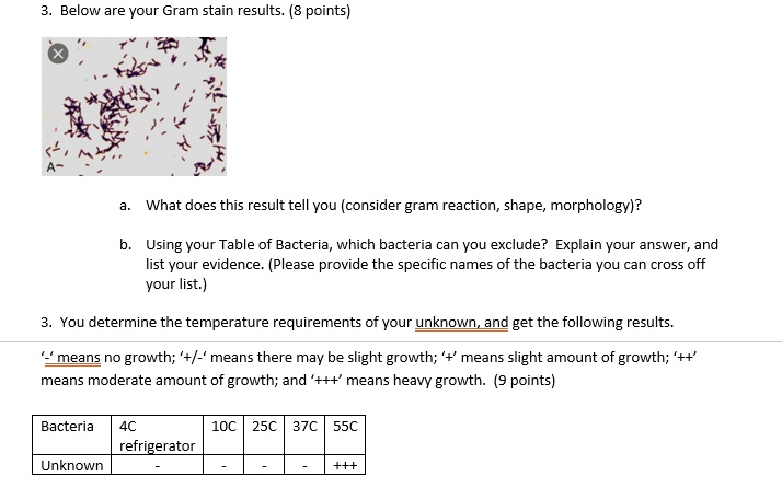 3 below are your gram stain results8 points 1 what does this result ...