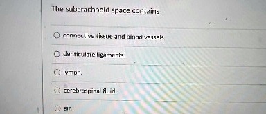 The subarachnoid space contains connective tissue and blood vessels ...