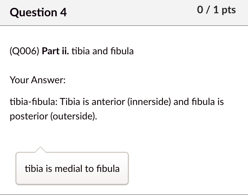 SOLVED: Question 4 0 / 1 pts (Q006) Part ii: tibia and fibula Your ... SOLVED: Question 4 0 / 1 pts (Q006) Part ii: tibia and fibula Your ...