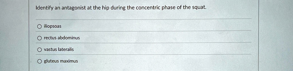Identify an antagonist at the hip during the concentric phase of the ...