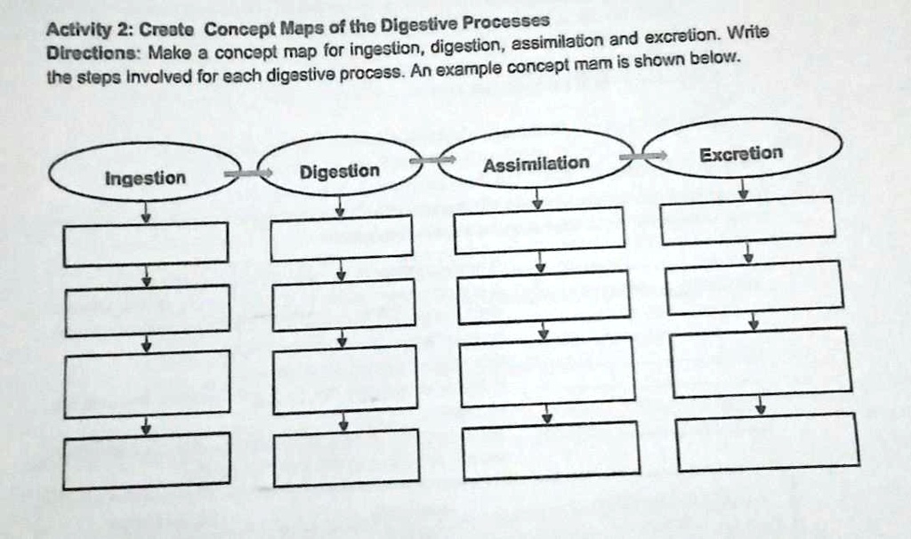 Activity 2: Create Concept Maps of the Digestive Processes Directions: Make a concept map for ...
