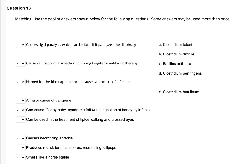 SOLVED: Question 13 Matching: Use the pool of answers shown below for ...