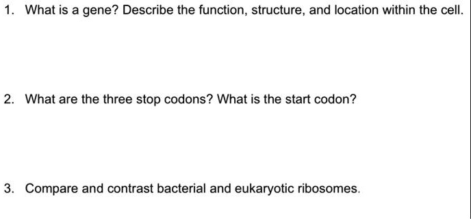 SOLVED: What is a gene? Describe the function, structure, and location ...