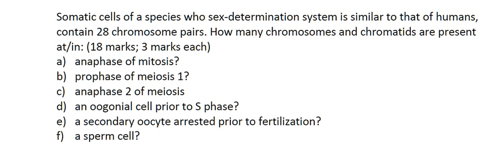 Solved Somatic Cells Of A Species Who Sex Determination System Is Similar To That Of Humans 