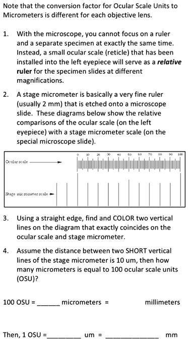 Note that the conversion factor for Ocular Scale Units to Micrometers ...