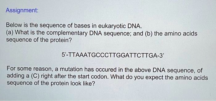 SOLVED: Assignment: Below is the sequence of bases in eukaryotic DNA ...