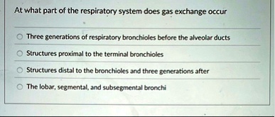 at what part of the respiratory system does gas exchange occur three ...