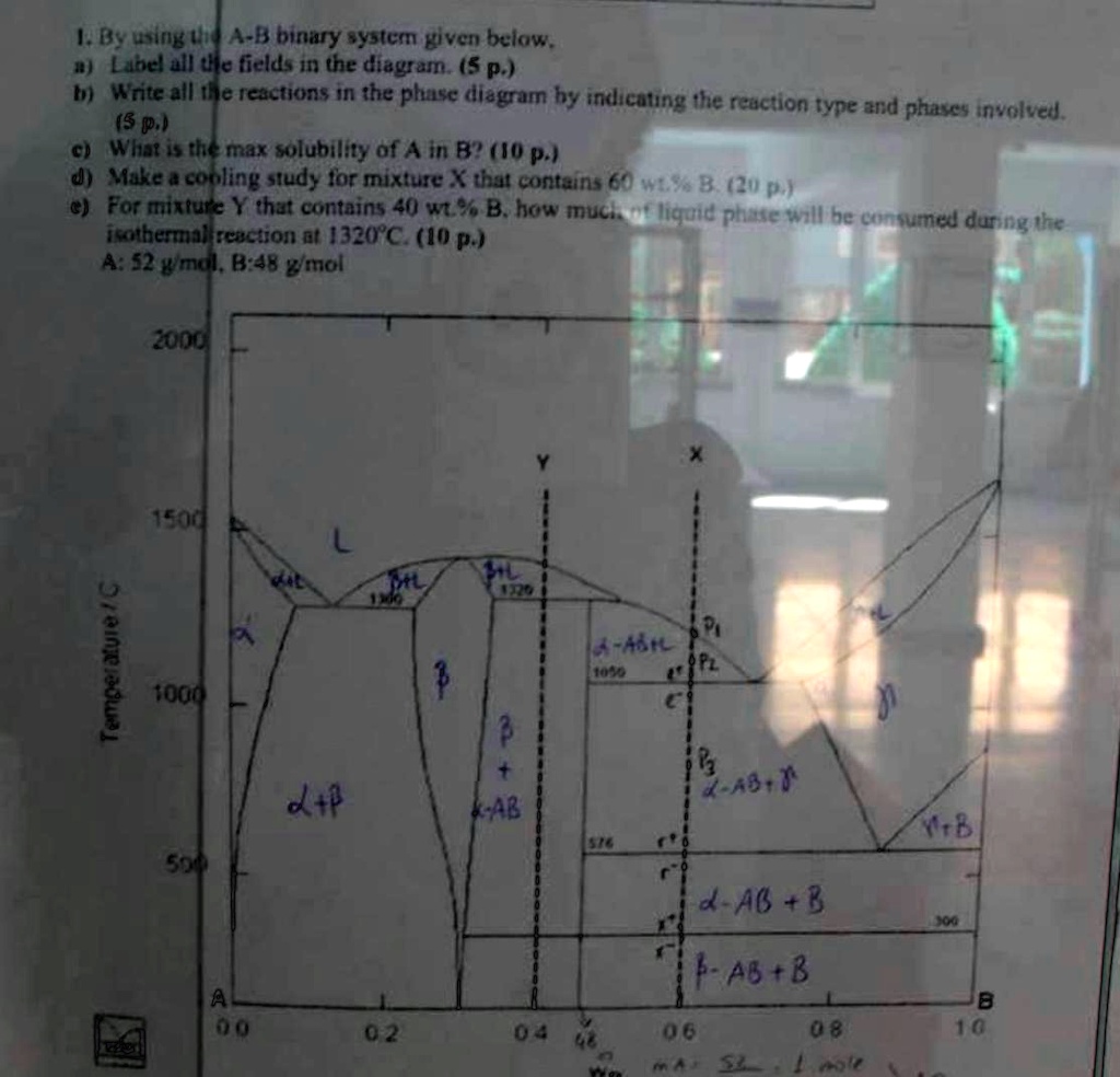 SOLVED: By using the A-B binary system given below, a) Label all the fields in the diagram. (5 p ...