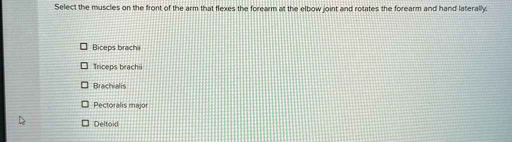 Select the muscles on the front of the arm that flexes the forearm at ...