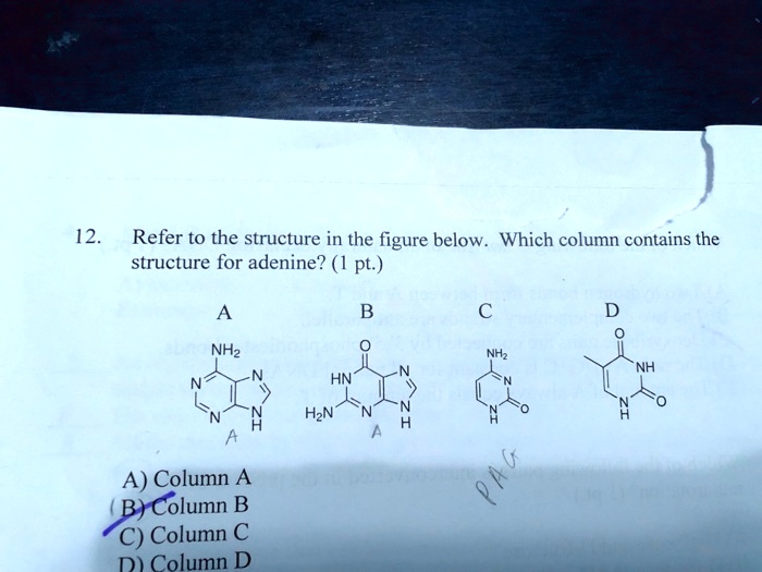 SOLVED: 12. Refer to the structure in the figure below. Which column contains the structure for ...