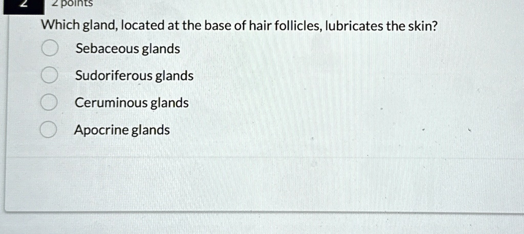 2 2 points Which gland, located at the base of hair follicles ...
