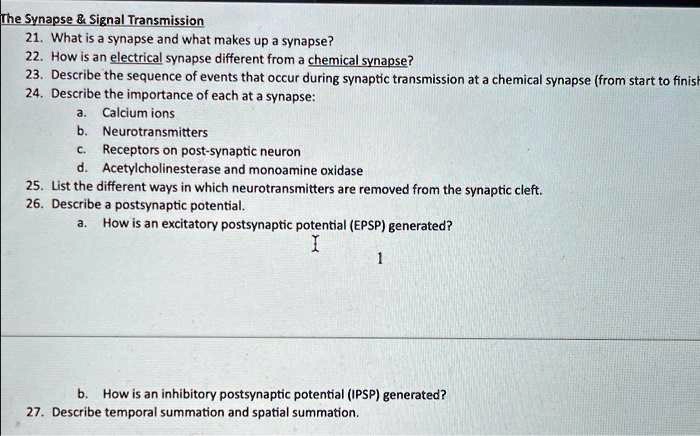 SOLVED: [e Synapse Signal Transmission What is synapse and what makes ... SOLVED: [e Synapse Signal Transmission What is synapse and what makes ...