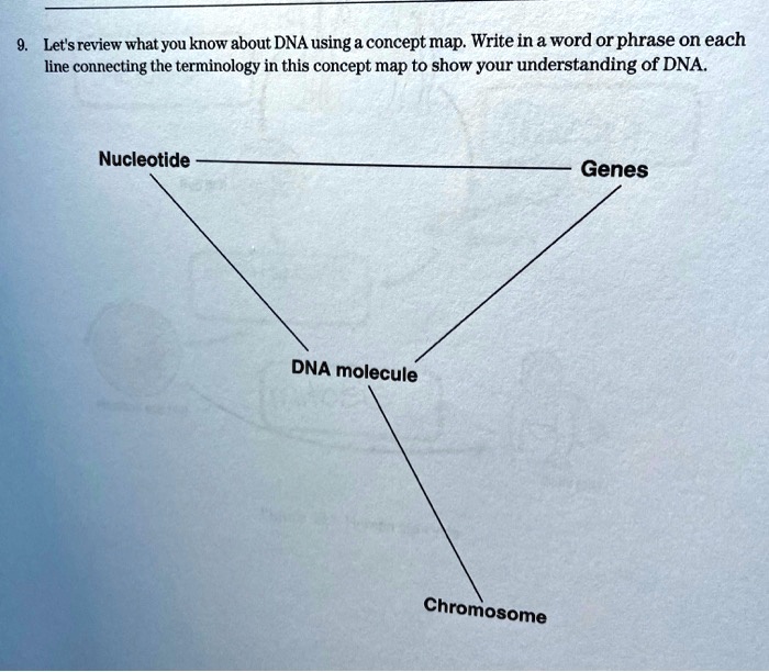 9. Let's review what you know about DNA using a concept map. Write in a ...