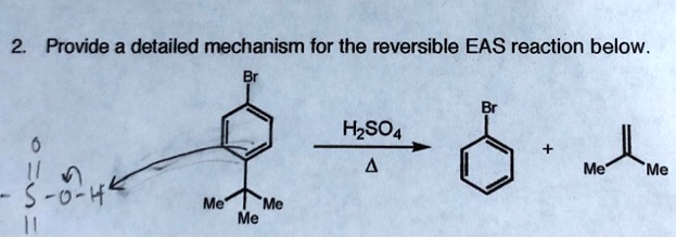 SOLVED:Provide a detailed mechanism for the reversible EAS reaction below. HzSO4 Me" Me Mc" 'Me ...