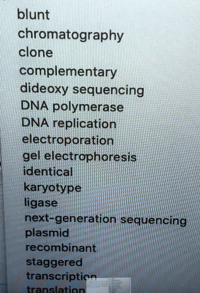 blunt chromatography clone complementary dideoxy sequencing dna ...