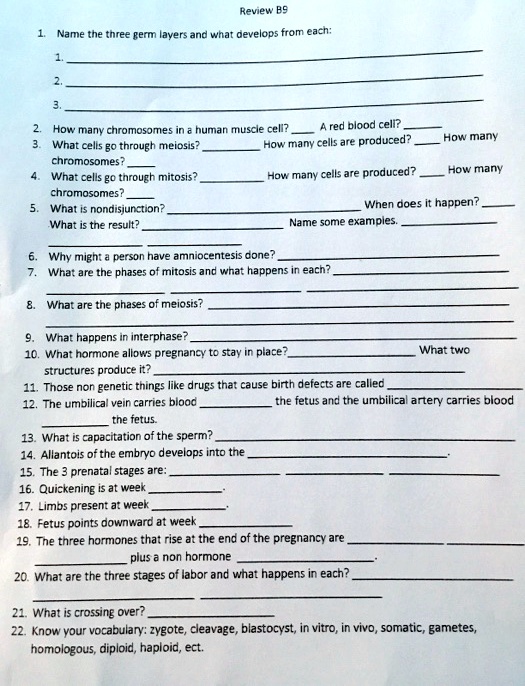 Review B9 1. Name the three germ layers and what develops from each: 1 ...