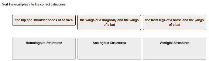 SOLVED: 'someone HELP ASAP PLEASE Sort the examples into the correct ...
