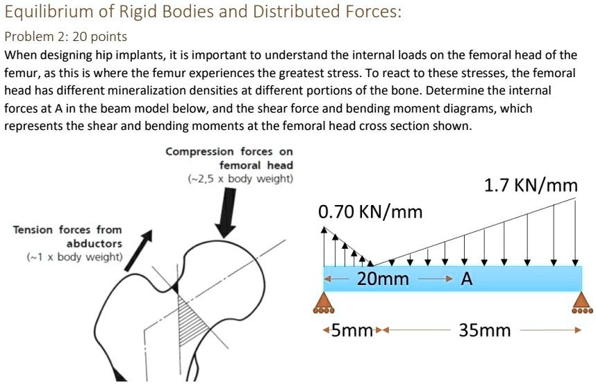 SOLVED: Equilibrium of Rigid Bodies and Distributed Forces: Problem 2: ...