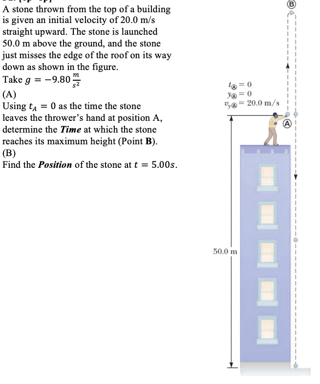 SOLVED: A stone thrown from the top of a building is given an initial ...